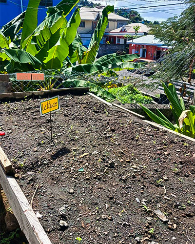 The Zero Hunger Trust Fund promotes healthy food choices on the 1st ...