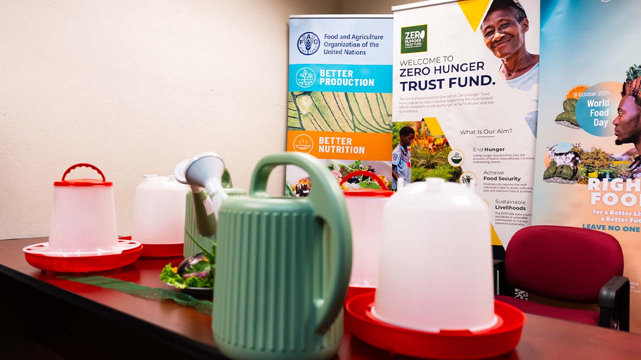 FAO Hands Over Agricultural Supplies to the Zero Hunger Trust Fund ...